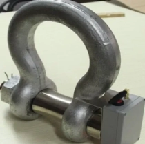 BWI-CSAX Crane Scale | BAYKON